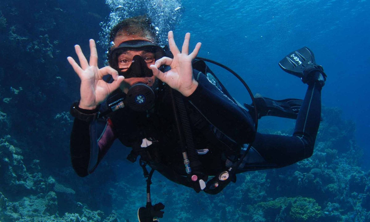 Slow Dive GmbH - Ägypten - Camel Dive Club